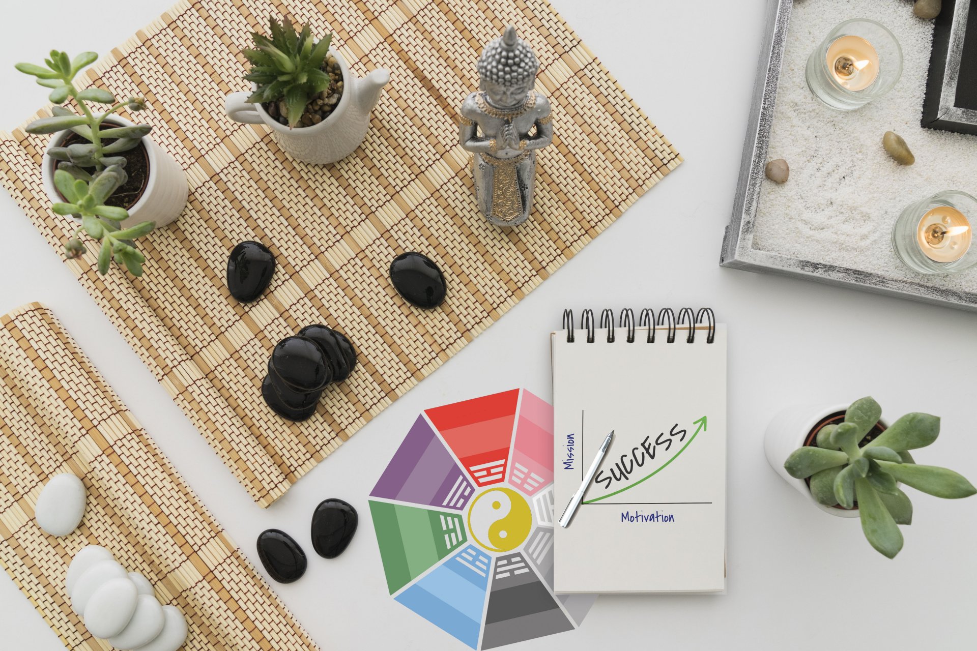Feng Shui: harmonizando sua casa e sua vida · Anatomia de uma leitora